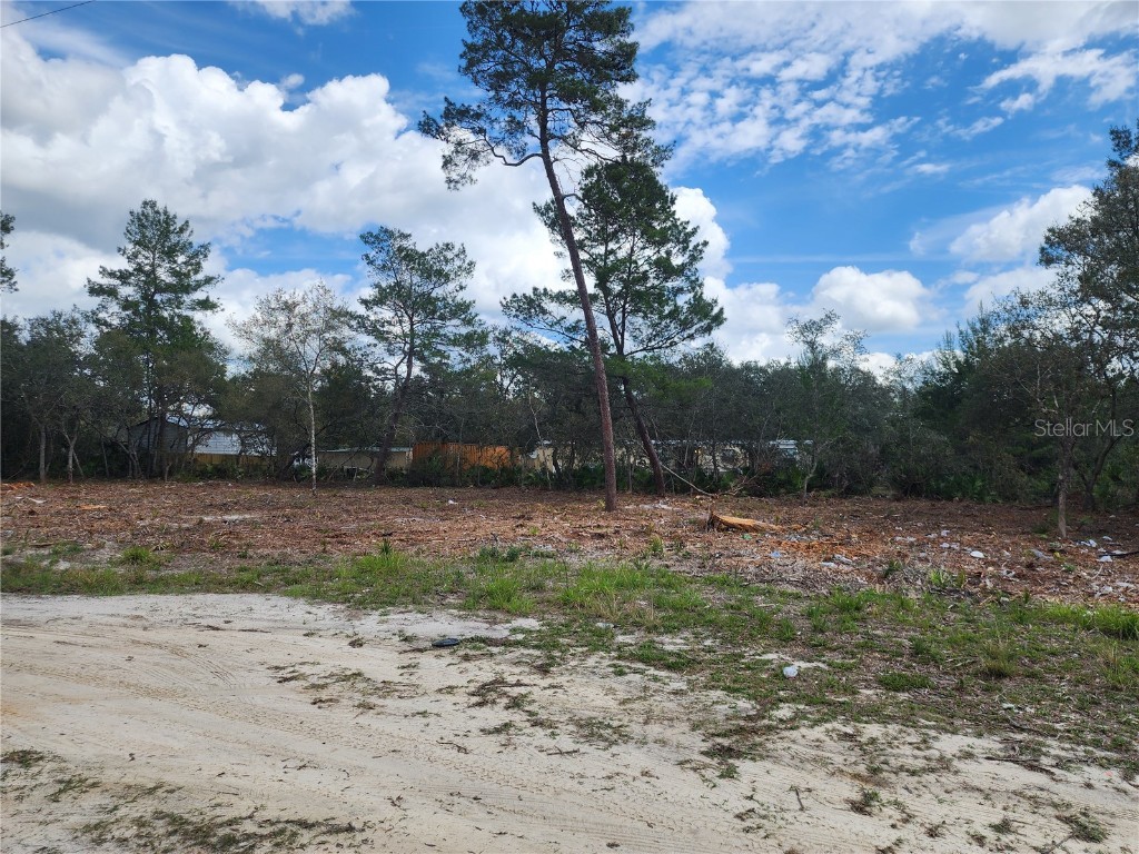 Palmetto Street, Paisley, FL, 32767 | MLS: V4935085 | Edina Realty