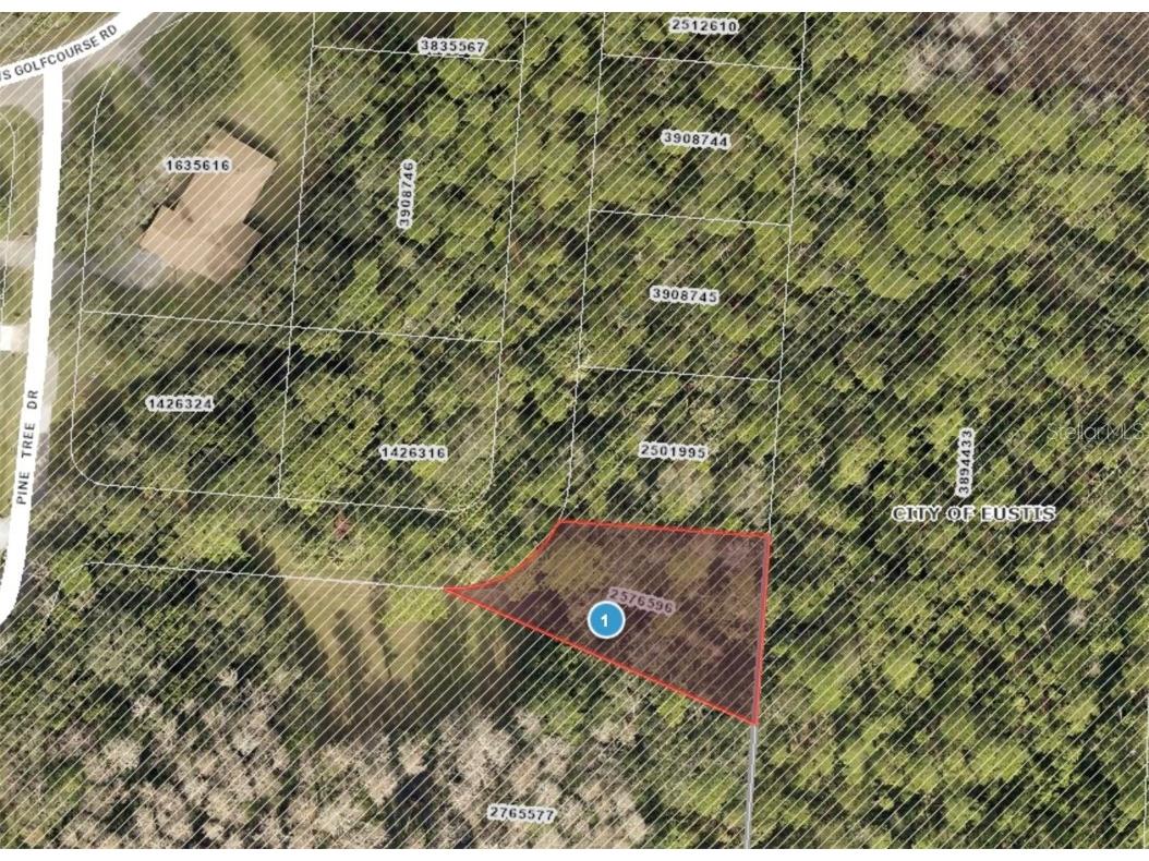 Pine Tree Drive, Eustis, FL, 32726 | MLS: O6345113 | Edina Realty