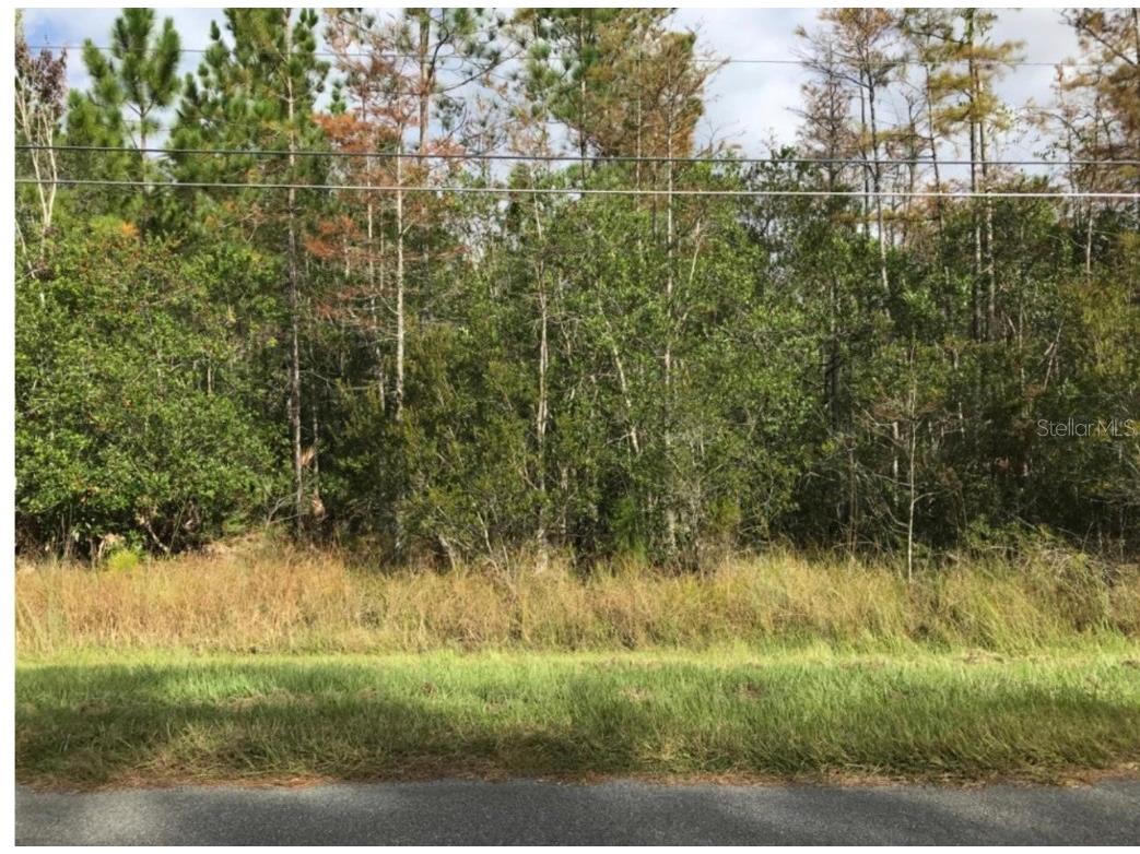 Robertson Street, Orlando, FL, 32833 | MLS: O6313990 | Edina Realty