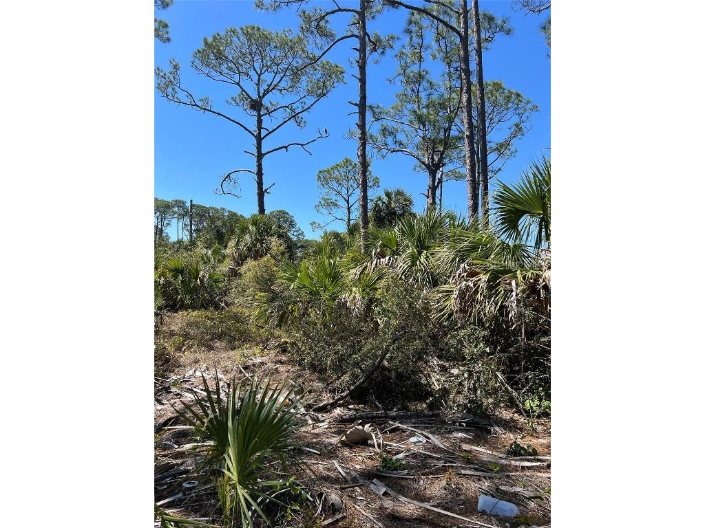 Rye Key, Cedar Key, FL, 32625 | MLS: OM675445 | Edina Realty