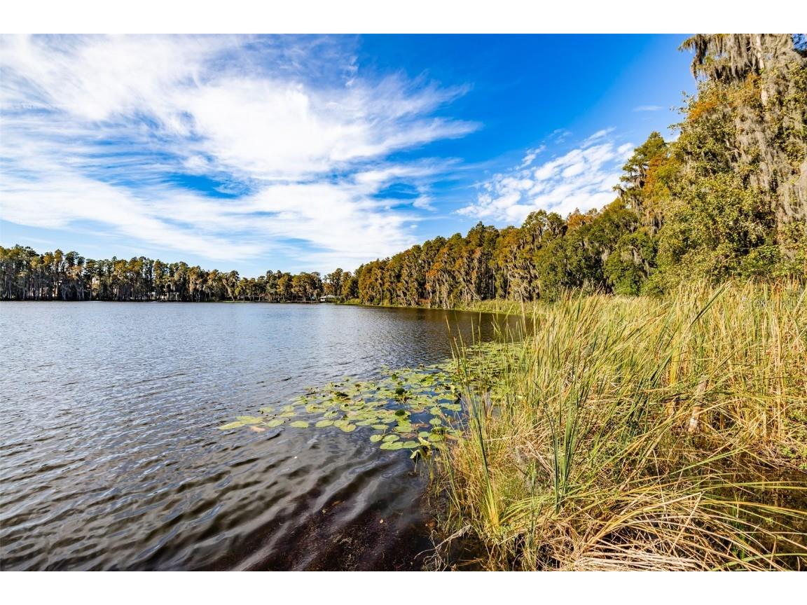 SE Corner Of Holly Lane S.R. 597 Lane, Lutz, FL, 33548 | MLS: T3488610 ...