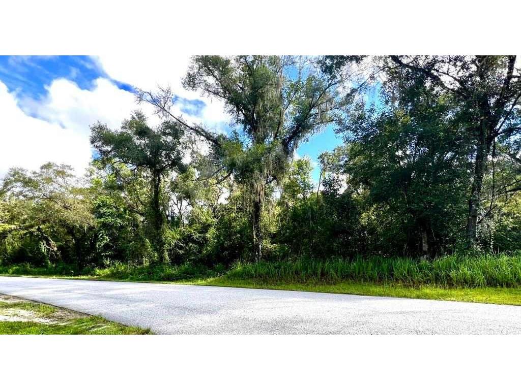 Sharon Court, Ridge Manor, FL, 33523 | MLS: T3468742 | Edina Realty