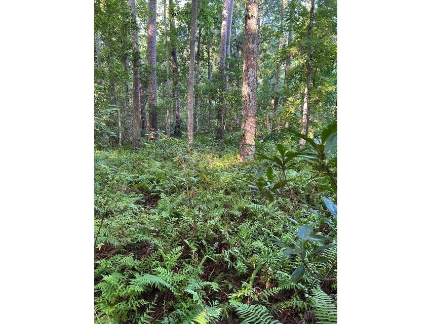 , Sanford, FL, 32773 | MLS: O6280373 | Edina Realty