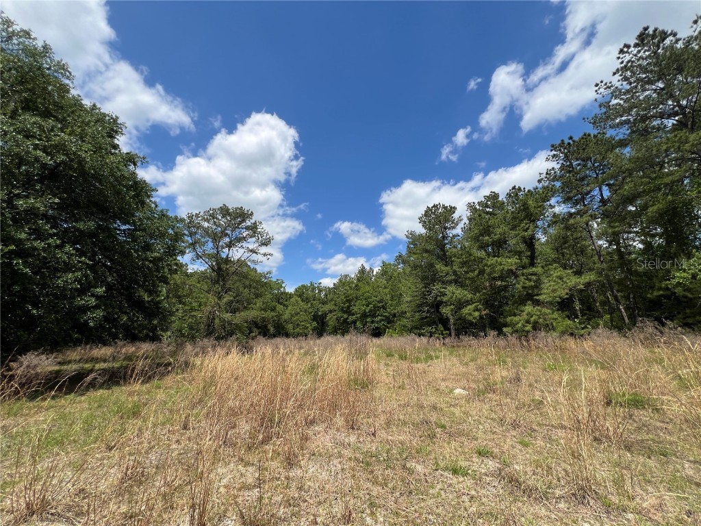 Tbd Se 134th Ave, White Springs, FL, 32096 | MLS: GC520879 | Edina Realty
