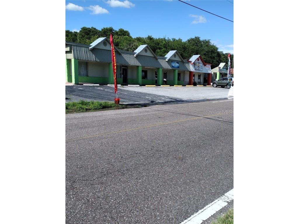 , Thonotosassa, FL, 33592 | MLS: T3380246 | Edina Realty