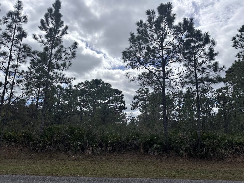 0 Allamanda Lot 11 Drive, Indian Lake Estates, FL, 33855 | MLS ...