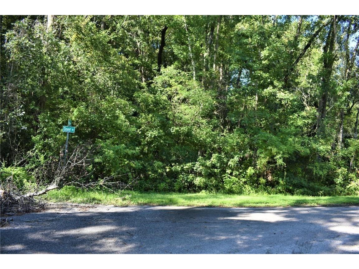 0 Dover Avenue, New Port Richey, FL, 34654 | MLS: W7857348 | Edina Realty