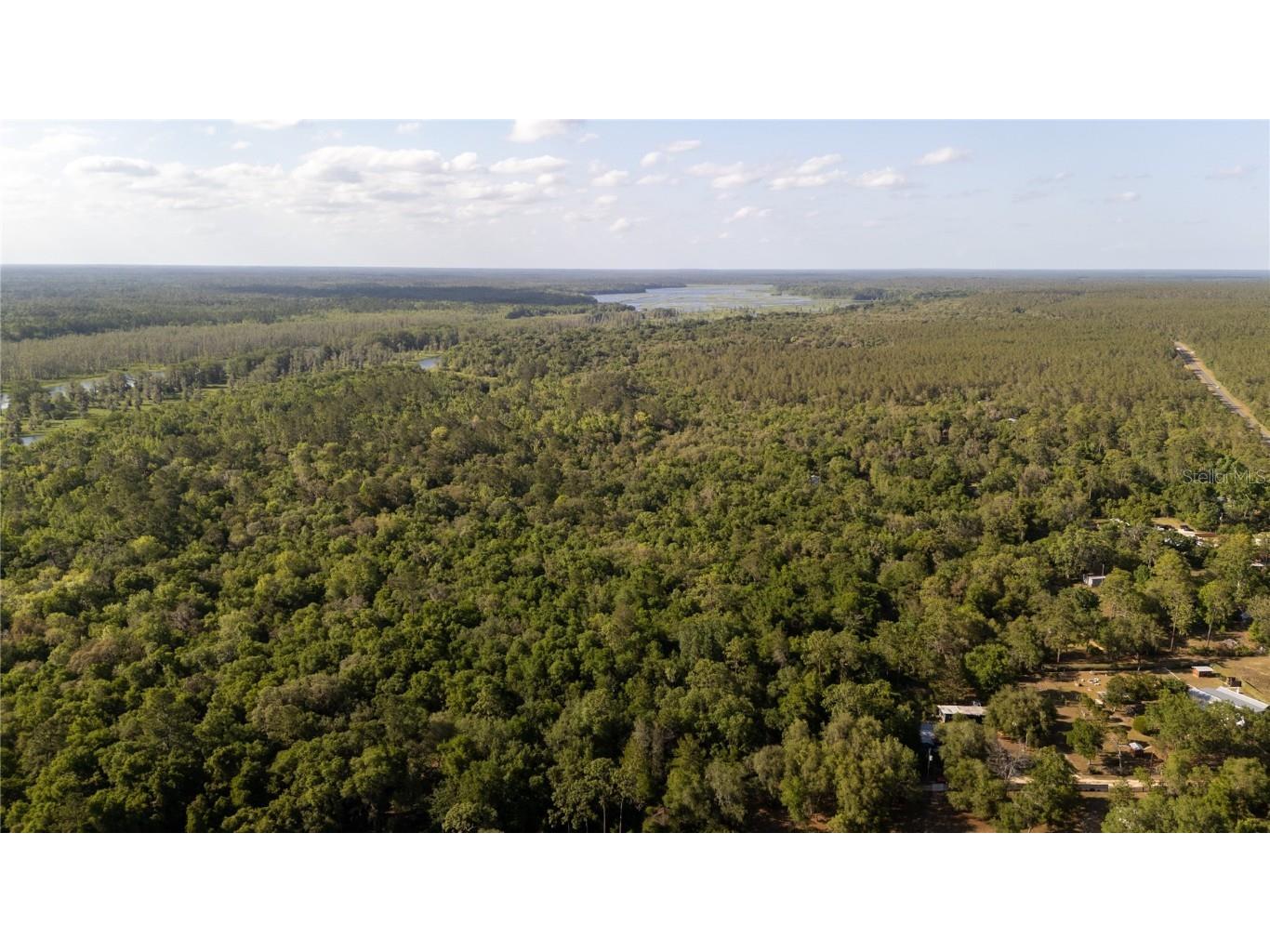 000 NE 206 Street, Fort Mc Coy, FL, 32134 | MLS: TB8378930 | Edina Realty