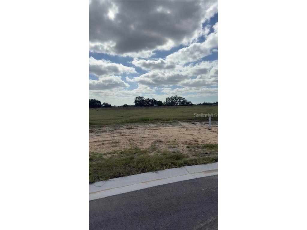 10005 White Egret Drive, Thonotosassa, FL, 33592 | MLS: O6177722 ...