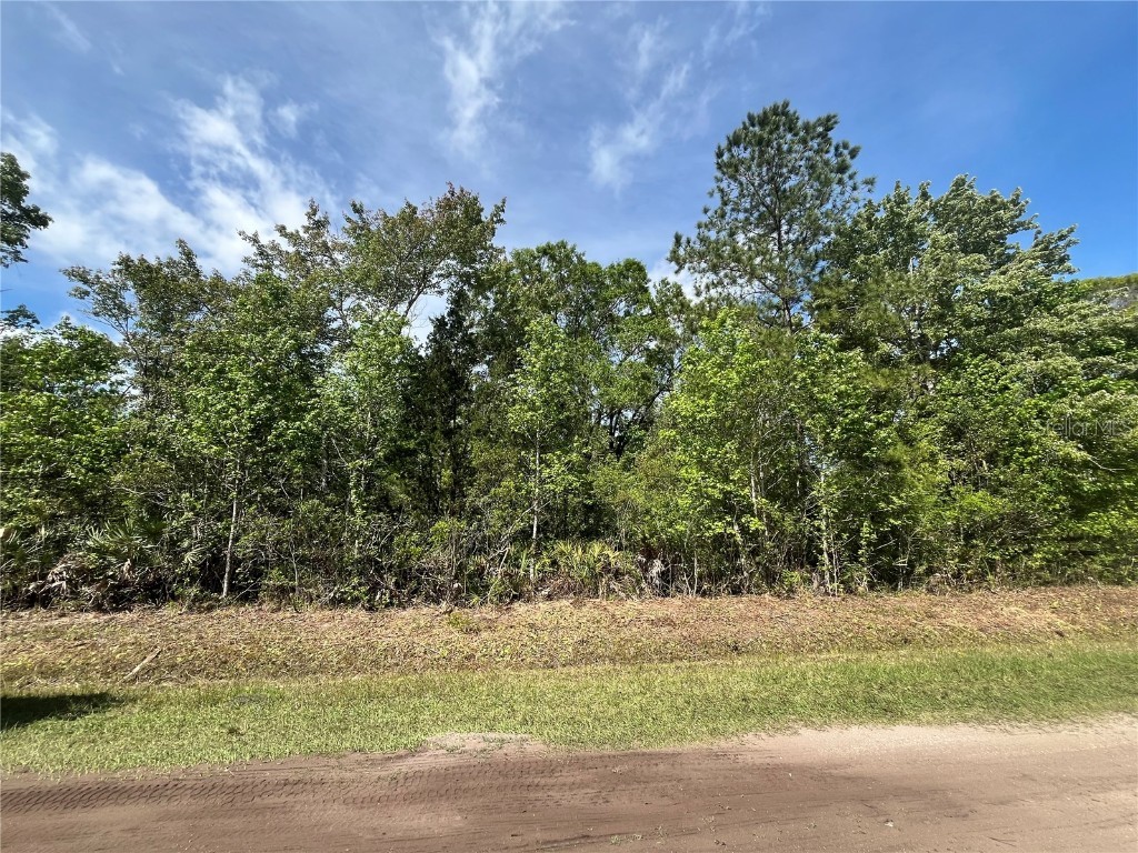 10235 Underwood Avenue, Hastings, FL, 32145 | MLS: OK223896 | Edina Realty