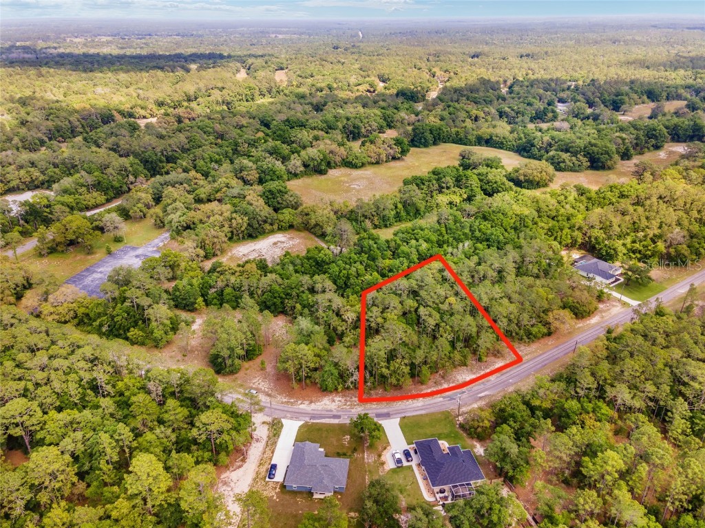 10291 N Sherman Drive, Citrus Springs, FL, 34434 | MLS: T3519244 ...