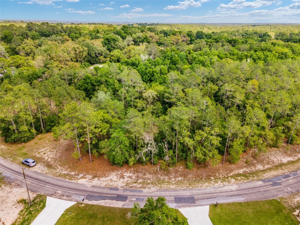 10291 N Sherman Drive, Citrus Springs, FL, 34434 | MLS: T3519244 ...