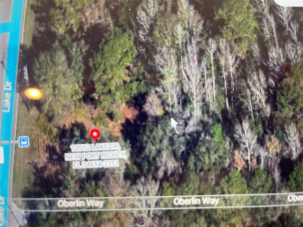 10552 Lake Drive, New Port Richey, FL, 34654 | MLS: W7863028 | Edina Realty