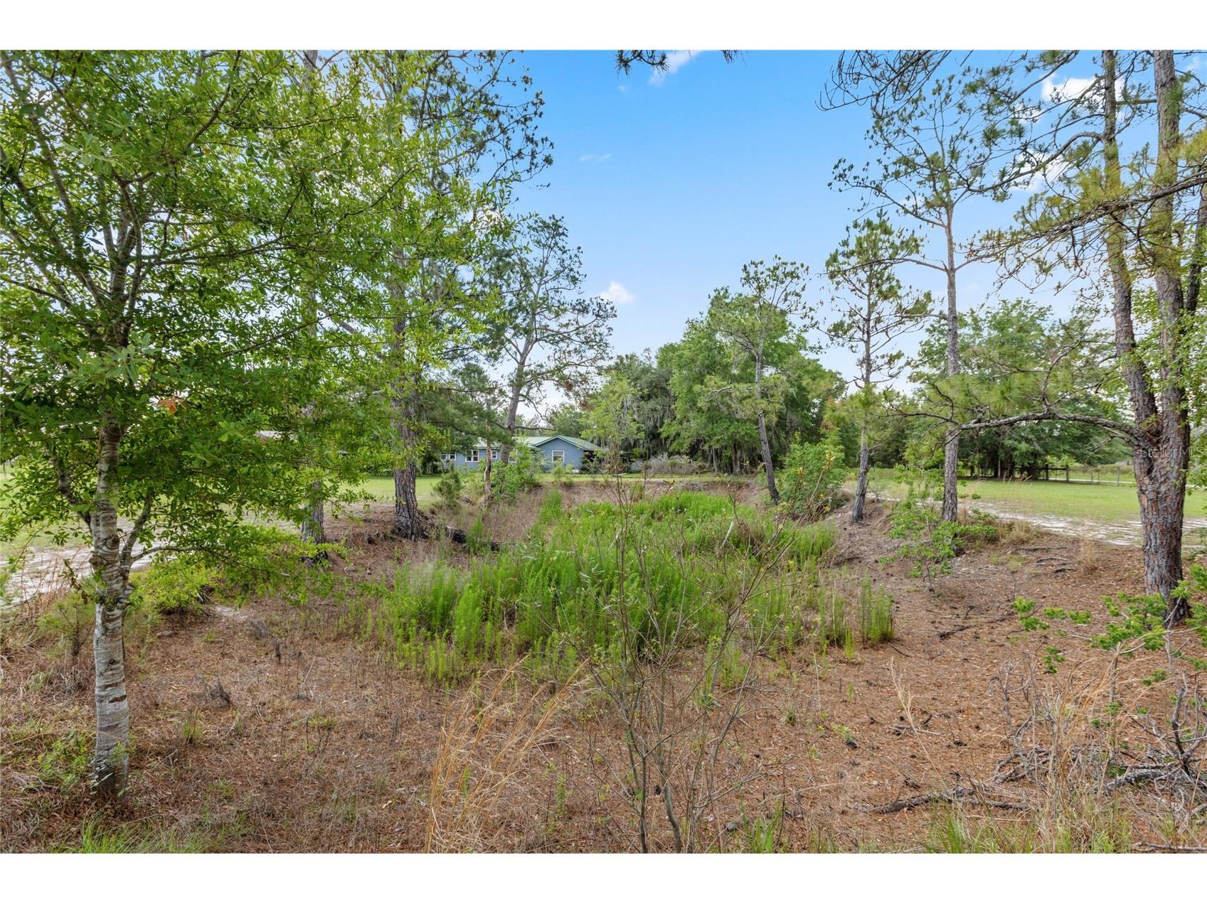 11115 SW 105th Street, Brooker, FL, 32622 | MLS: GC540101 | Edina Realty