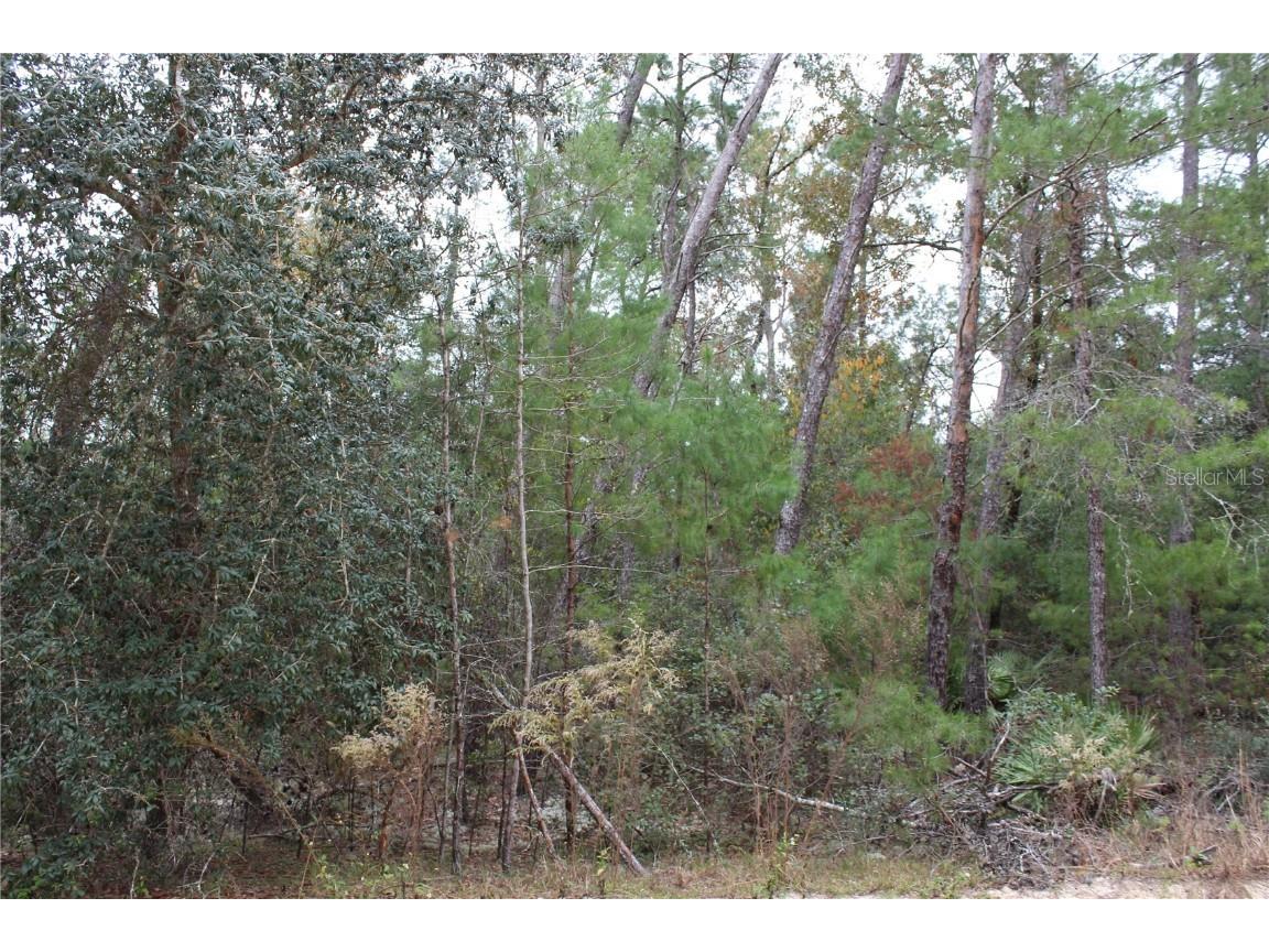 113 Desoto Drive, Florahome, FL, 32140 | MLS: GC501132 | Edina Realty