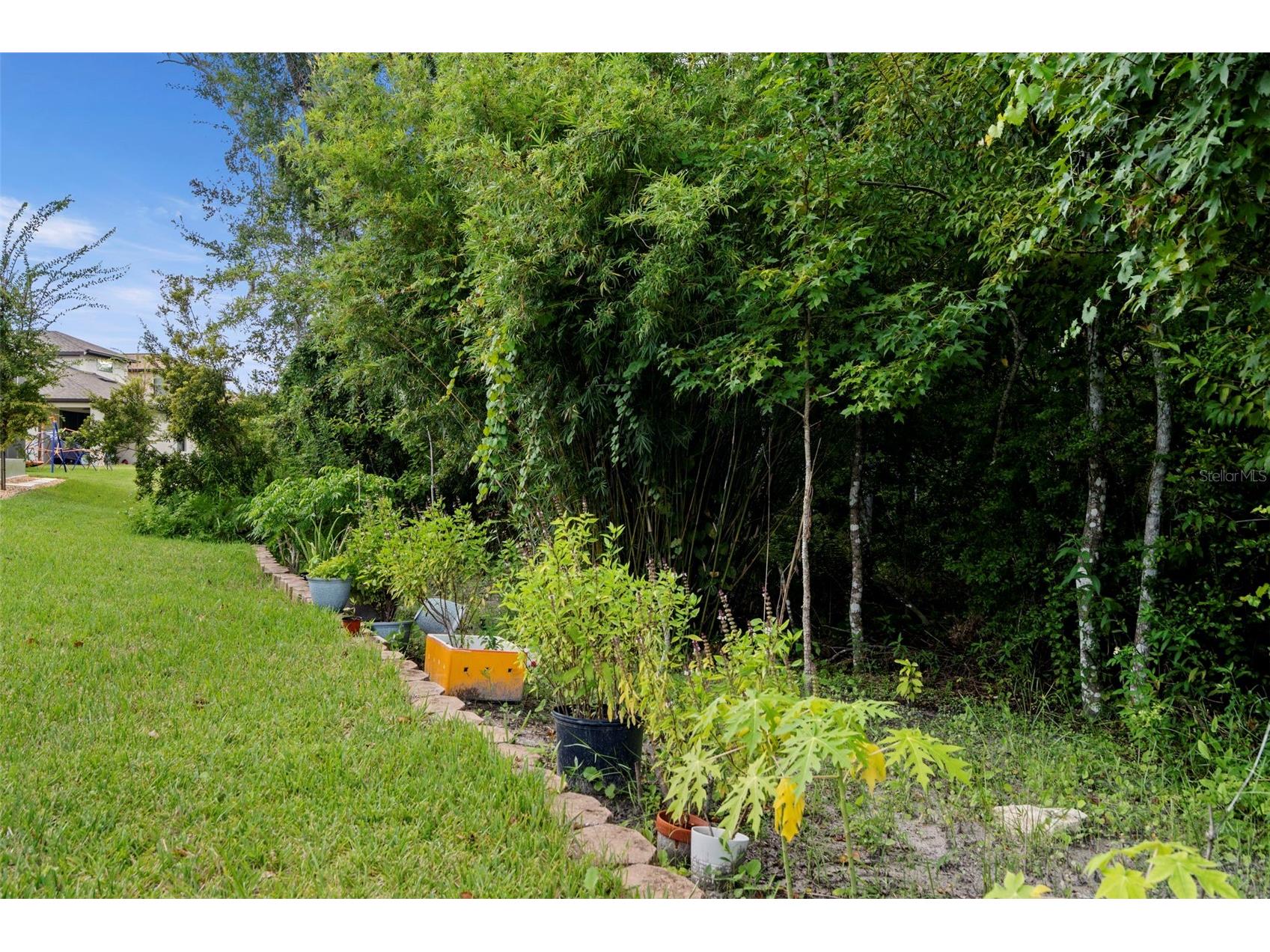 11515 Weaver Hollow Road, New Port Richey, FL, 34654 | MLS: TB8423117 ...