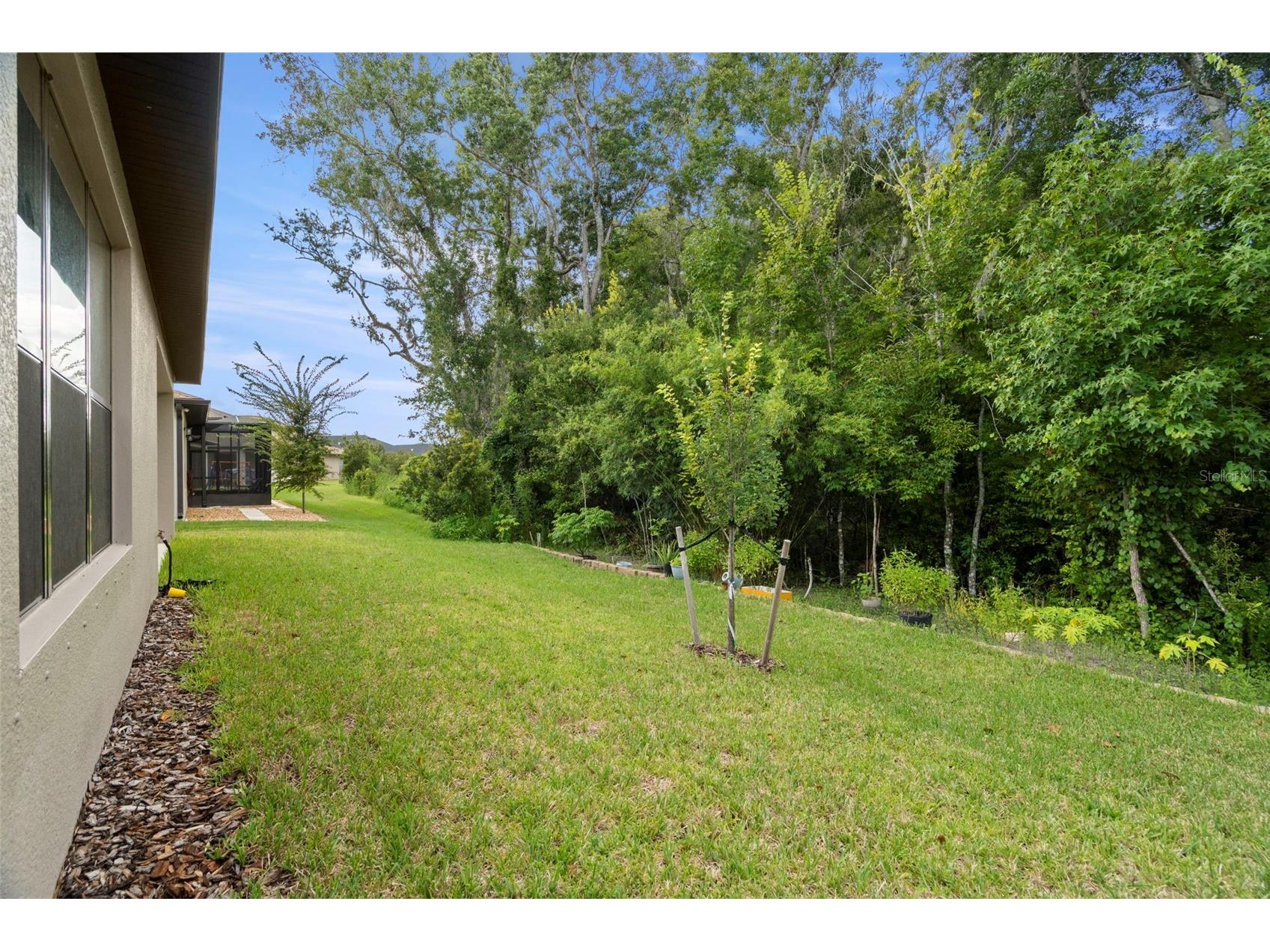 11515 Weaver Hollow Road, New Port Richey, FL, 34654 | MLS: TB8423117 ...