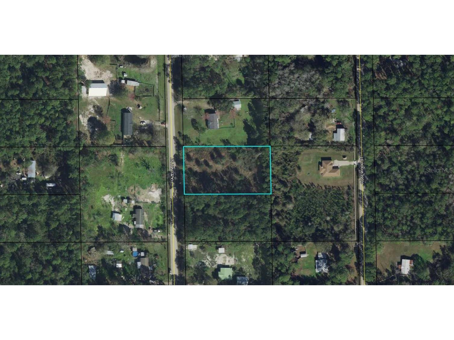 1225 Hazelnut Street, Bunnell, FL, 32110 | MLS: FC286379 | Edina Realty