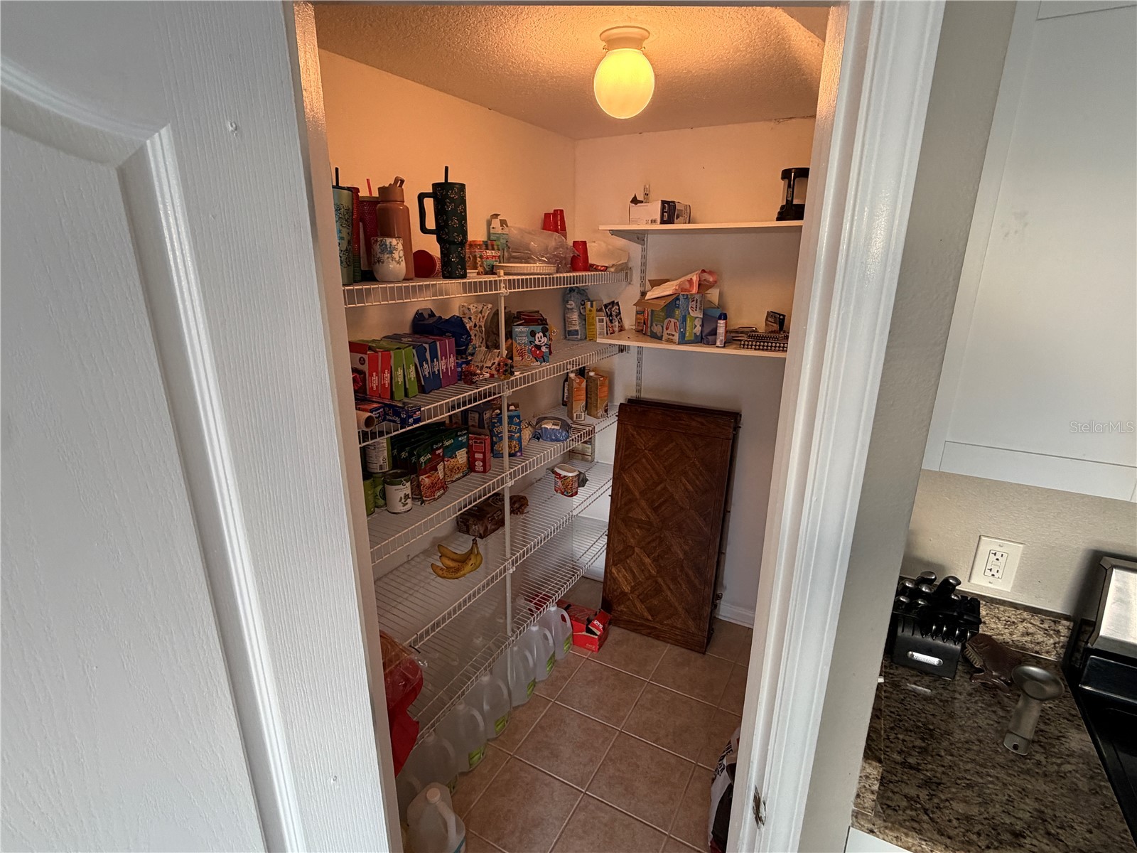 12508 Evington Point Drive, Riverview, FL, 33579 | MLS: TB8477507 ...