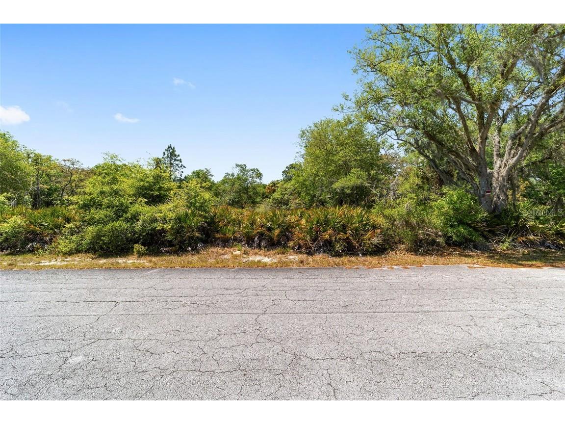 12577 W Rosemary Place, Crystal River, FL, 34428 | MLS: T3519203 ...