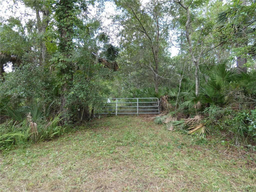 1275 Davidson Drive, Pierson, FL, 32180 | MLS: O6330932 | Edina Realty