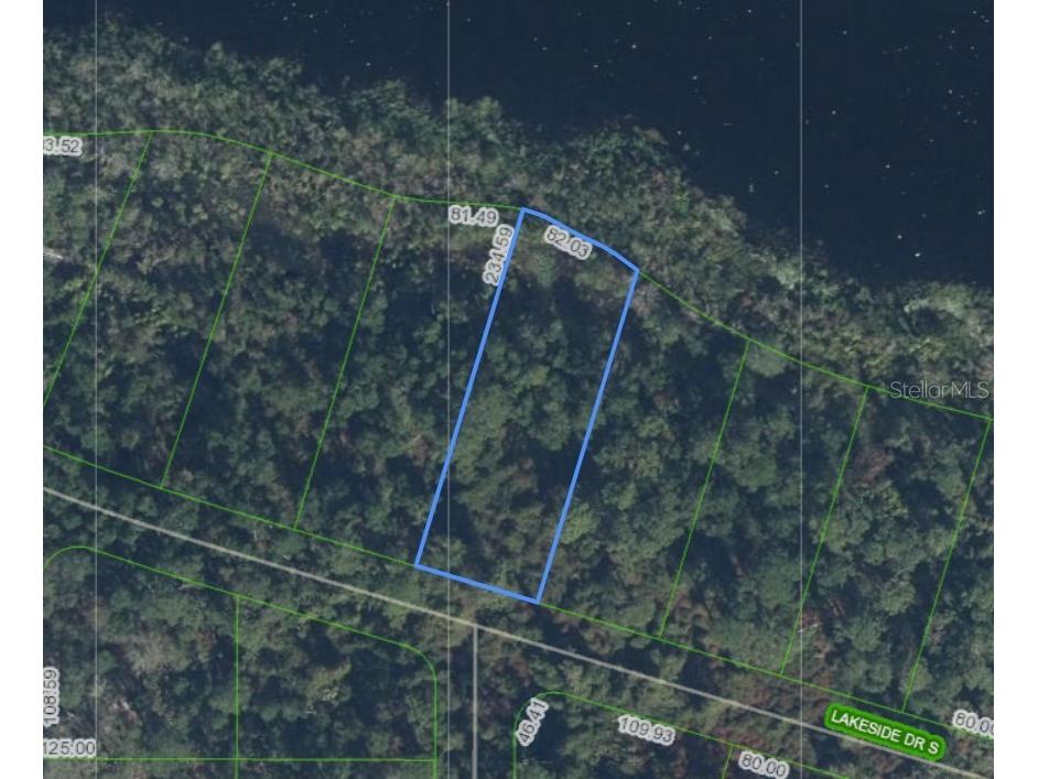 1302 Lakeside Drive S Sebring Fl 33875 Mls P4936750 Edina Realty