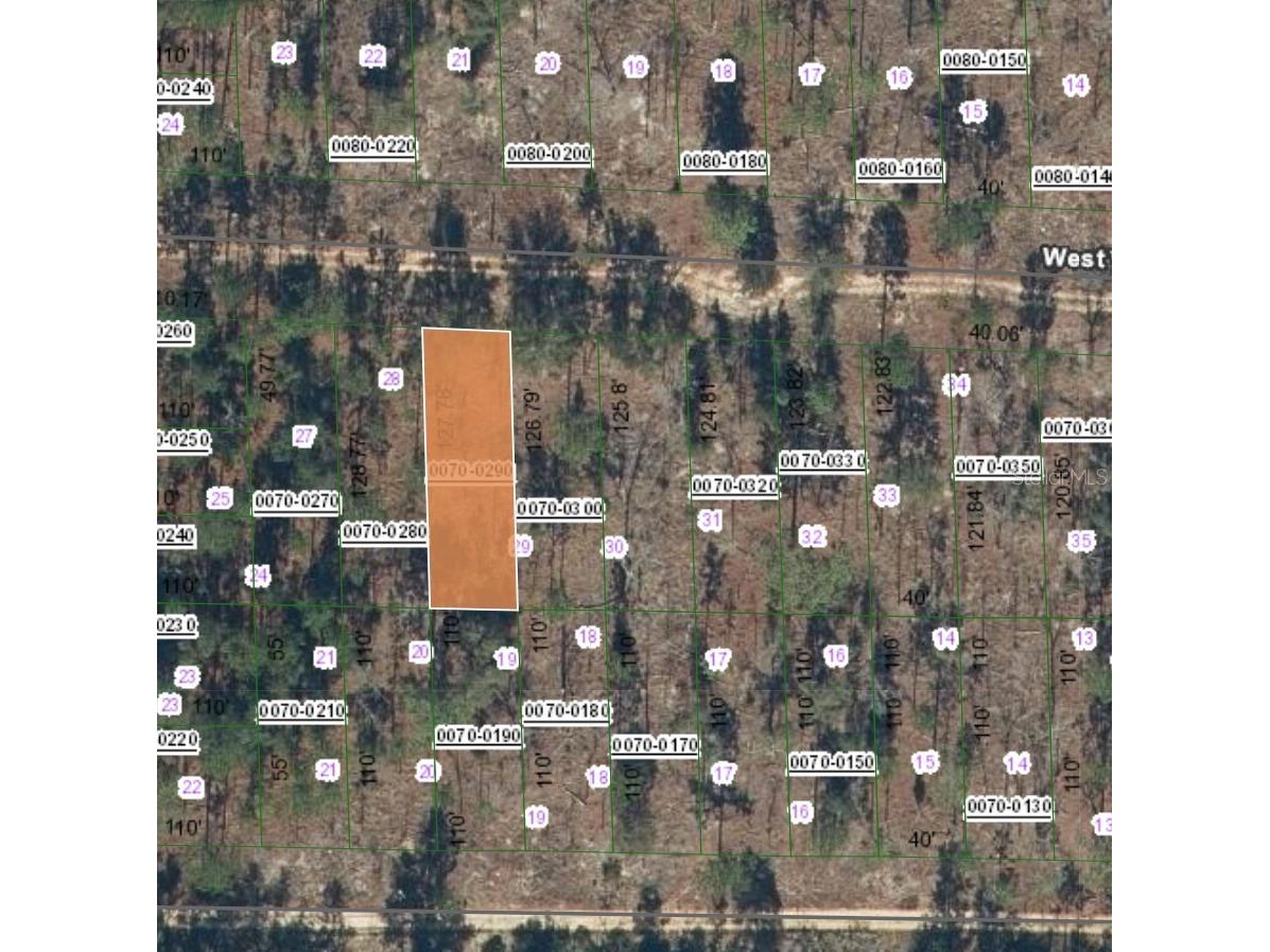 131 West Virginia Street, Hawthorne, FL, 32640 | MLS: FC315453 | Edina ...