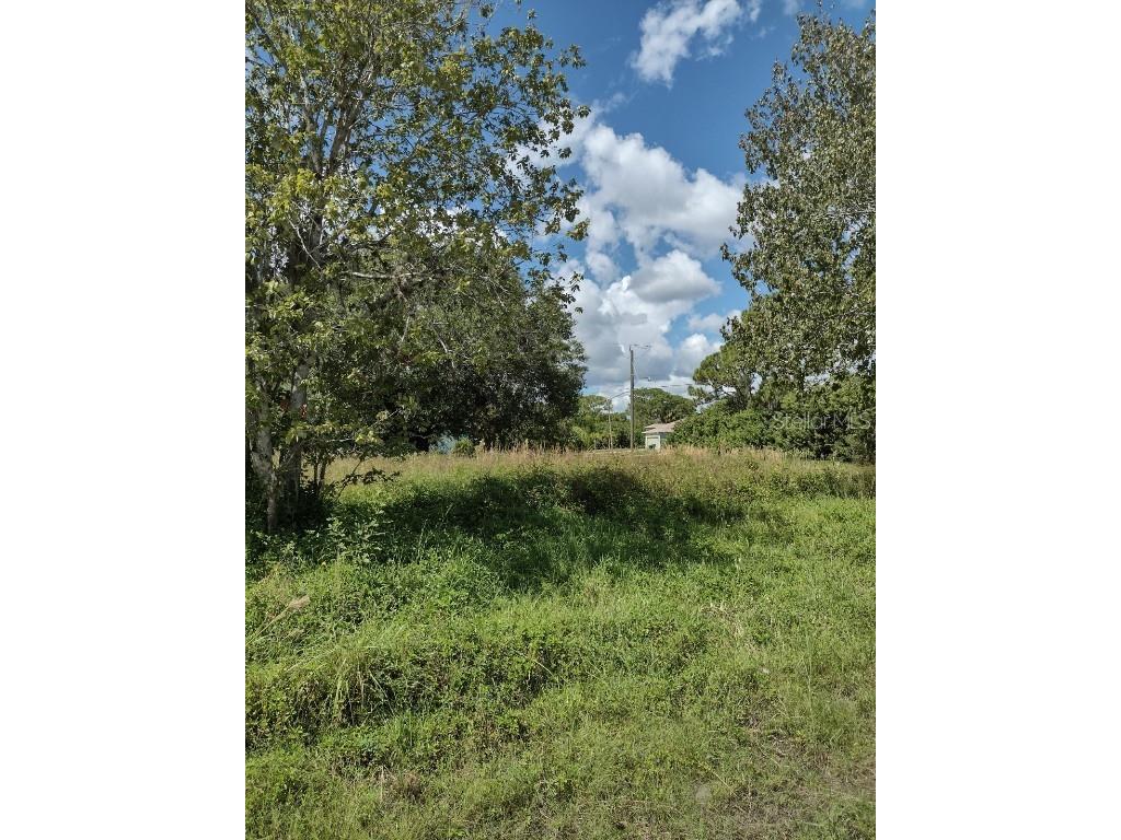 14085 Hopewell Avenue, Port Charlotte, FL, 33981 | MLS: D6121737 ...