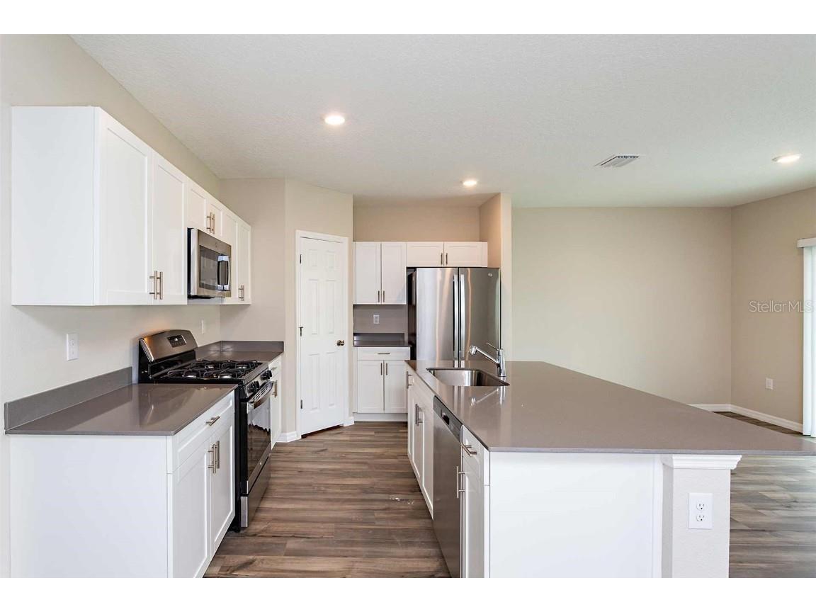 14886 Summer Branch Drive, Lithia, FL, 33547 | MLS: T3523858 | Edina Realty