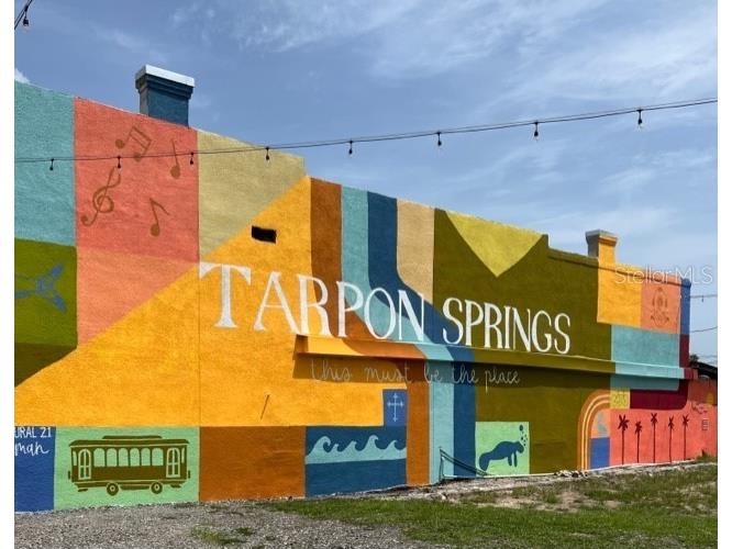 1524 Gopher Loop, Tarpon Springs, FL, 34689 | MLS: T3480657 | Edina Realty