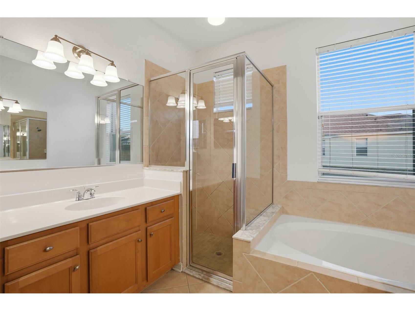 15692 Lemon Fish Drive, Lakewood Ranch, FL, 34202 | MLS: O6383188 ...