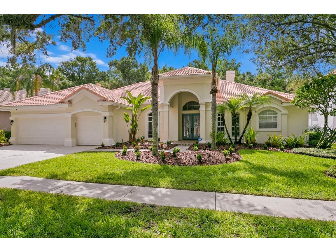 16313 Heathrow Drive, Tampa, FL, 33647 | MLS: T3535005 | Edina Realty