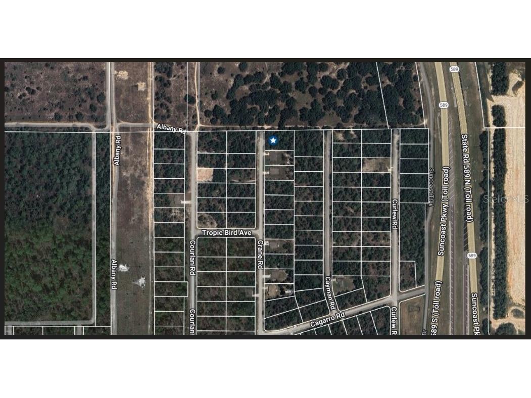 16492 Crane Road, Weeki Wachee, FL, 34614 | MLS: TB8347681 | Edina Realty