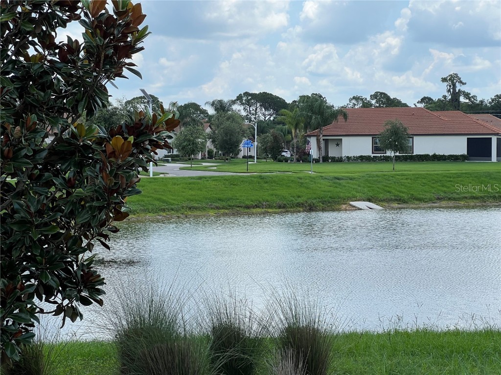 16806 Banner Shell Place, Wimauma, FL, 33598 | MLS: T3522816 | Edina Realty