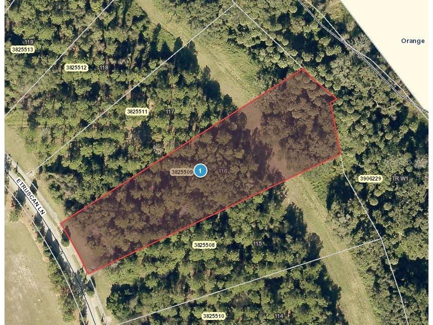 17213 Etruscan Lane, Montverde, FL, 34756 | MLS: G5074087 | Edina Realty