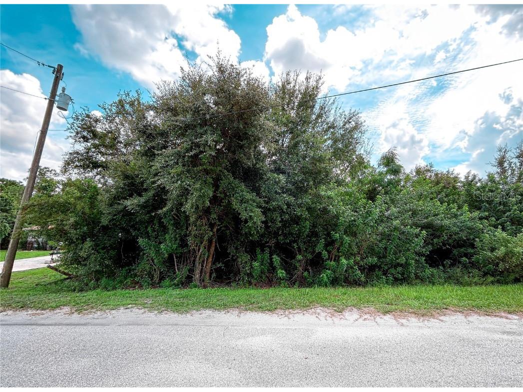 1807 Azalea Terrace, Sebring, FL, 33875 | MLS: O6240371 | Edina Realty