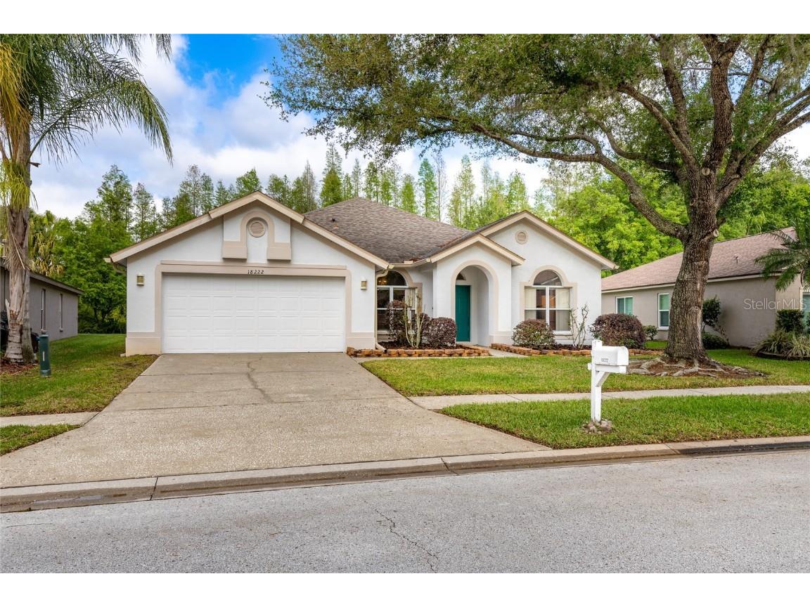 18222 Collridge Drive, Tampa, FL, 33647 | MLS: T3509327 | Edina Realty