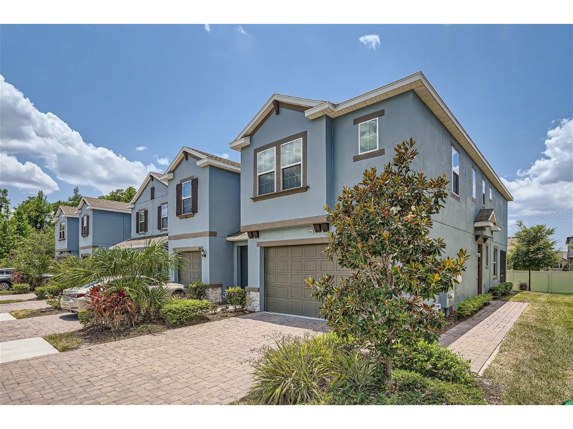 18667 Noble Caspian Drive, Lutz, FL, 33558 | MLS: O6210141 | Edina Realty