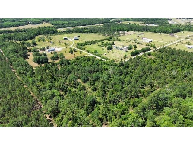 1875 Oak View Farms, Osteen, FL, 32764 | MLS: L4952344 | Edina Realty