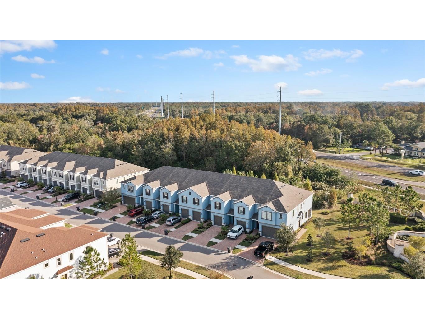 18815 Noble Caspian Drive, Lutz, FL, 33558 | MLS: U8222997 | Edina Realty