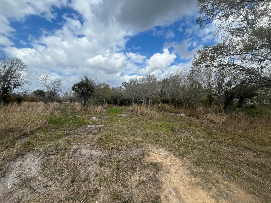 19035 NW 280th Street, Okeechobee, FL, 34972 | MLS: OK223755 | Edina Realty