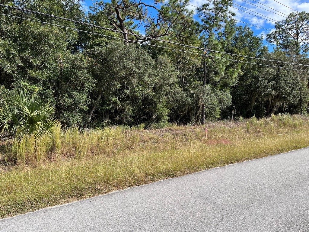 1971 S Border Avenue, Inverness, FL, 34452 | MLS: OK222025 | Edina Realty