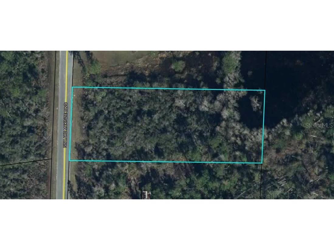 22389 NW Lake Mckinzie Boulevard, Altha, FL, 32421 | MLS: A4615864 ...