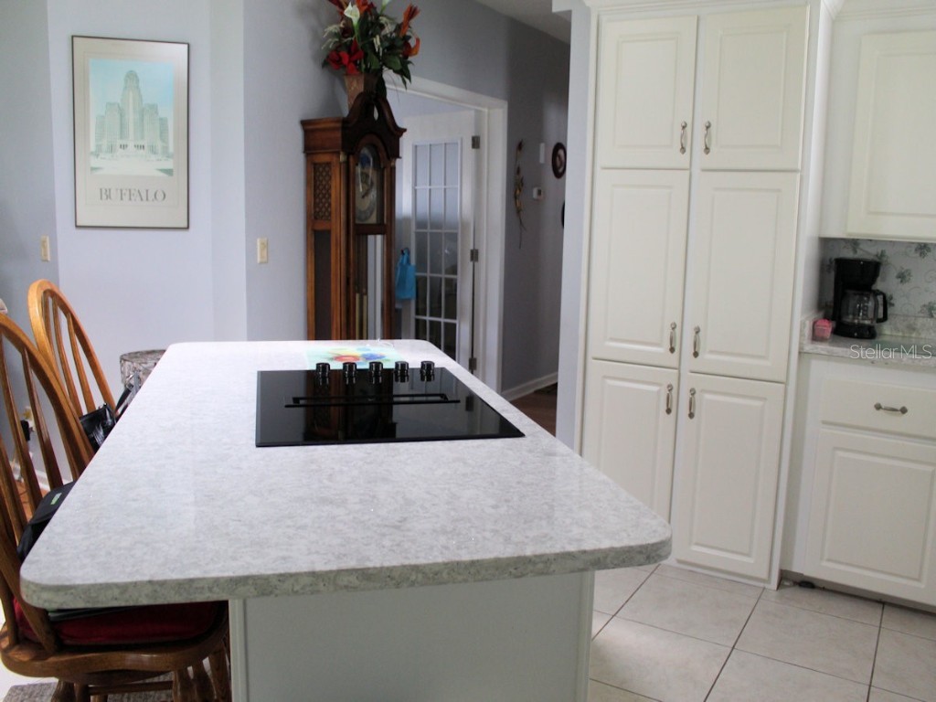 25 Thatch Palm Street W, Largo, FL, 33770 | MLS: TB8428638 | Edina Realty