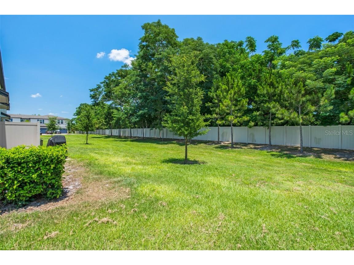 2575 Sweet Viburnum Way, Ocoee, FL, 34761 | MLS: O6209510 | Edina Realty