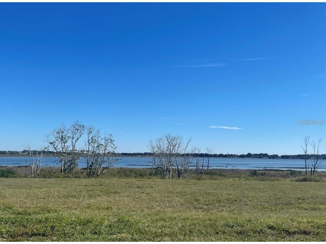 280 Caladium Avenue, Lake Alfred, FL, 33850 | MLS: O6195507 | Edina Realty
