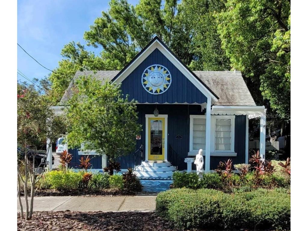 314 E Alfred Street, Tavares, FL, 32778 | MLS: G5071300 | Edina Realty