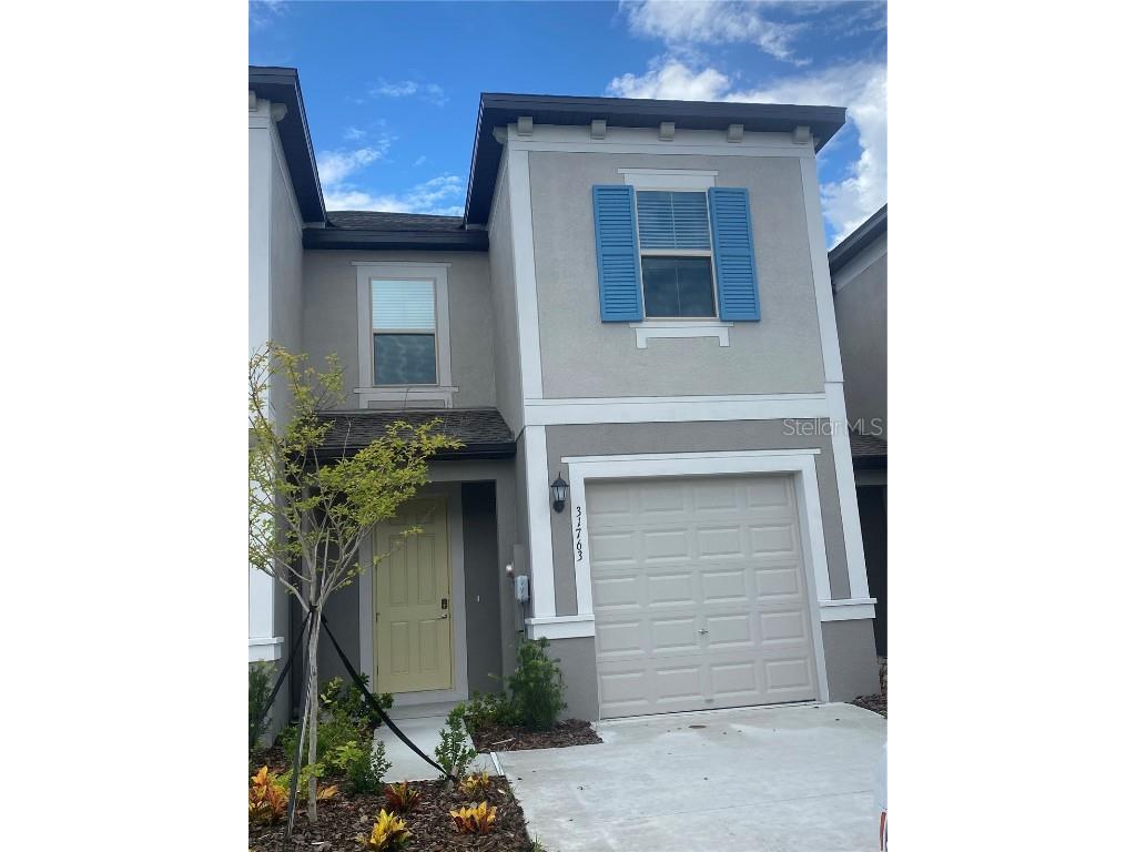 31763 Blue Passing Loop, Wesley Chapel, FL, 33545 | MLS: TB8406079 ...
