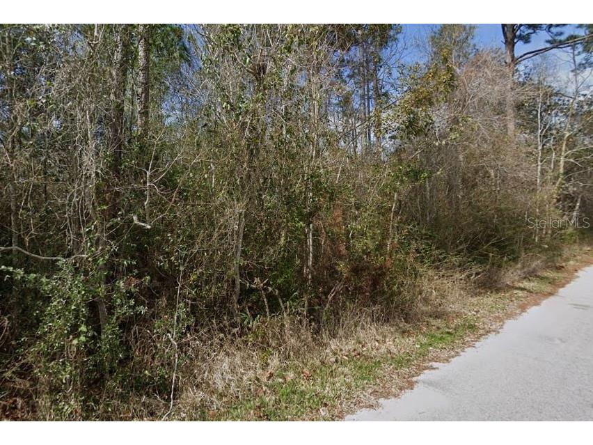 3200 Stefani Road, Cantonment, FL, 32533 | MLS: TB8407214 | Edina Realty