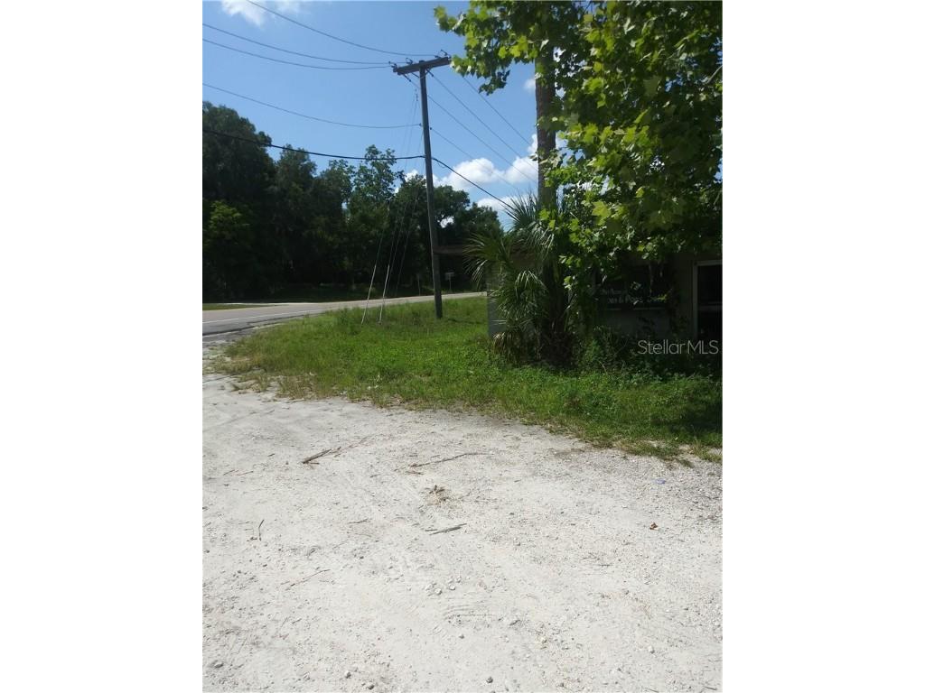 32946 College Avenue, San Antonio, FL, 33576 | MLS: T3180558 | Edina Realty